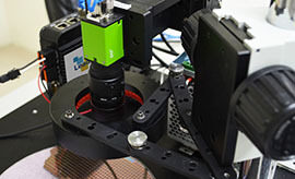 JAI | JAI industrial area scan cameras and line scan cameras