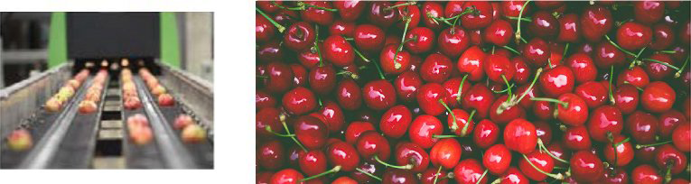 JAI | Color imaging in machine vision: how to choose the right camera…