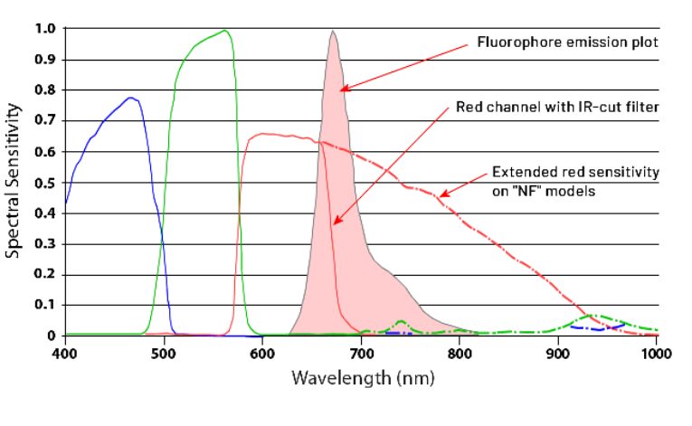 JAI | Advanced color microscopy solutions for life sciences and…