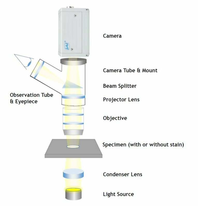 JAI | Advanced color microscopy solutions for life sciences and…
