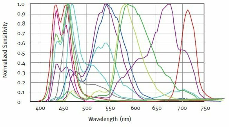 JAI | Multispectral imaging for medical and industrial machine vision…